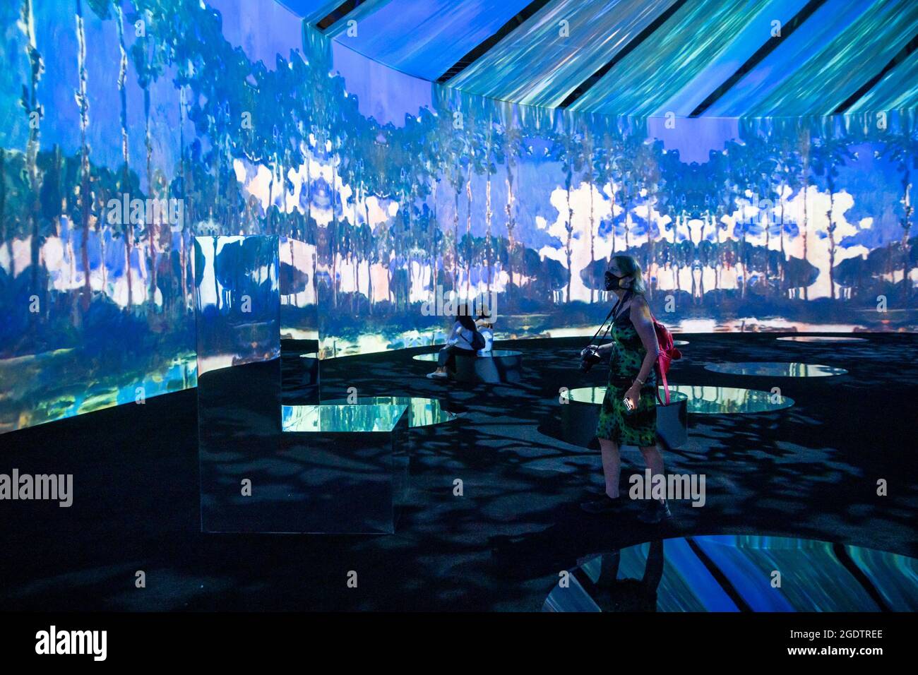 Toronto, Canada. 11th Aug, 2021. People attend the Beyond Monet exhibit ...