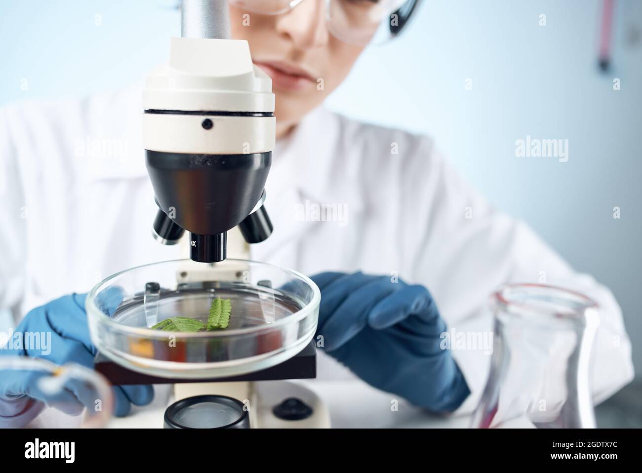 female laboratory assistant chemical solution microscope research ...