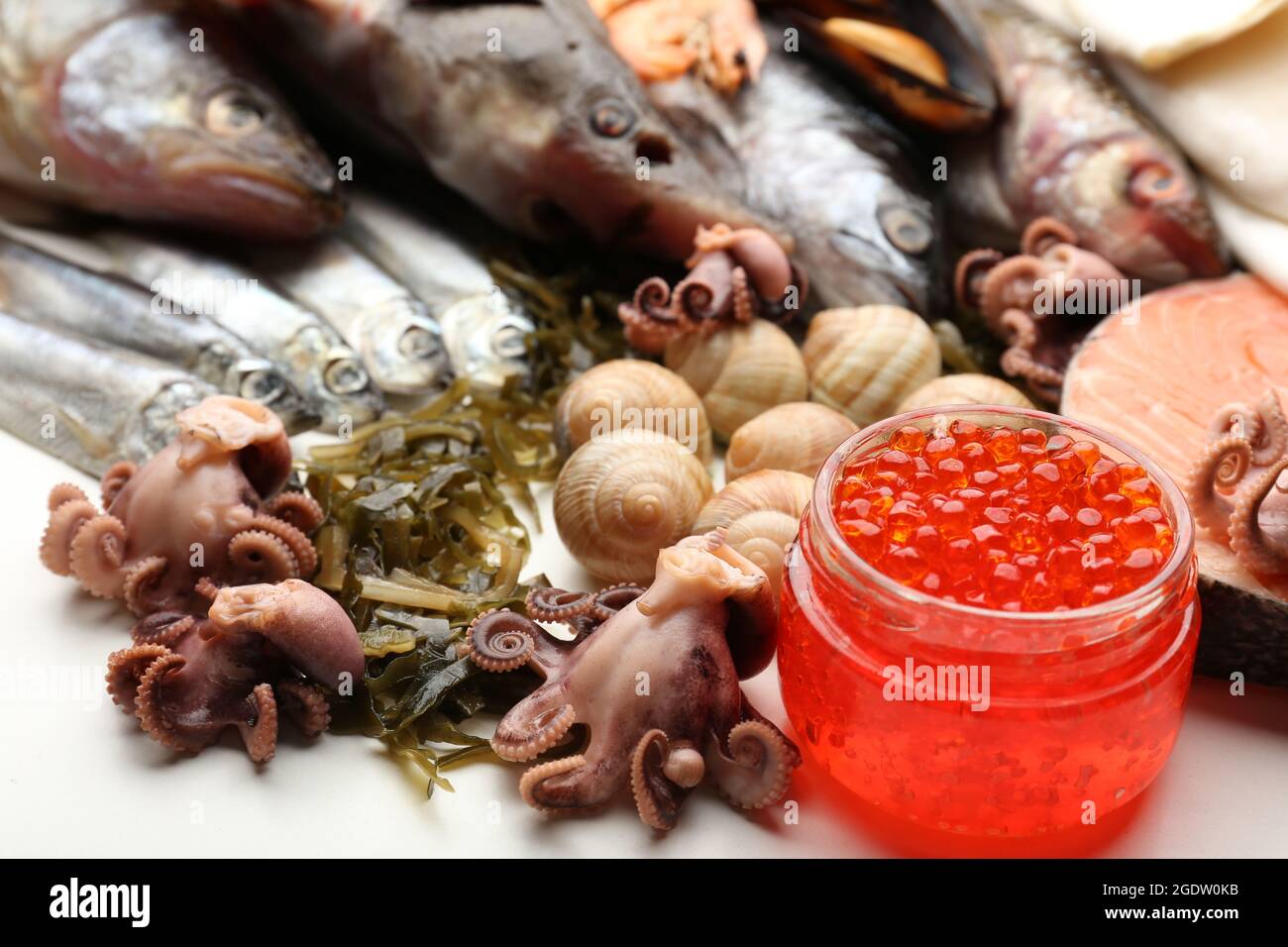 Fresh catch of fish and other seafood close-up Stock Photo - Alamy