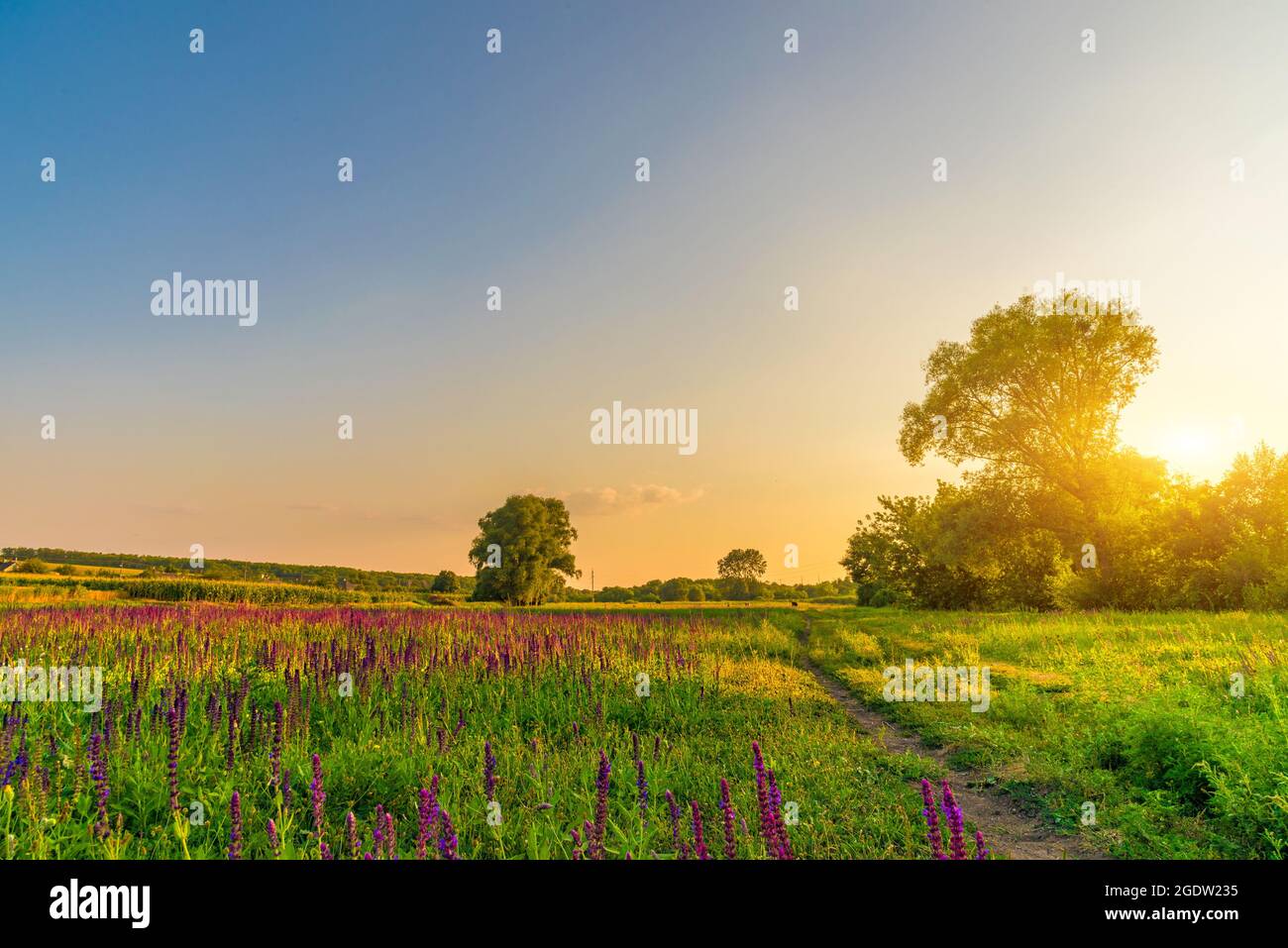 Rural evening hi-res stock photography and images - Alamy