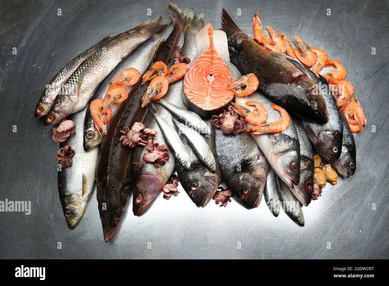 Fresh catch of fish and other seafood close-up Stock Photo - Alamy