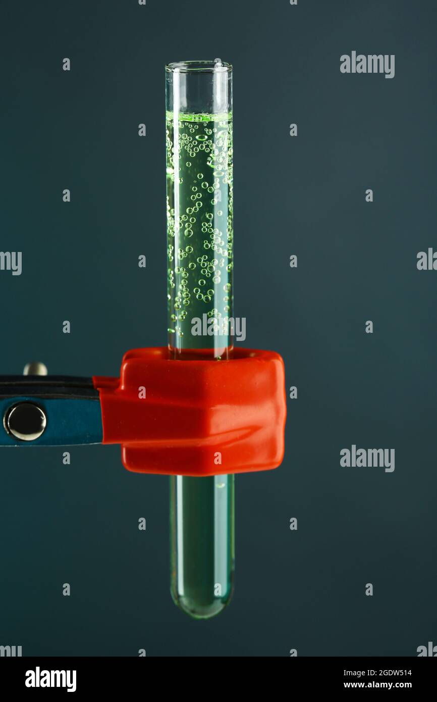 Fixed test tube on support on color background Stock Photo - Alamy