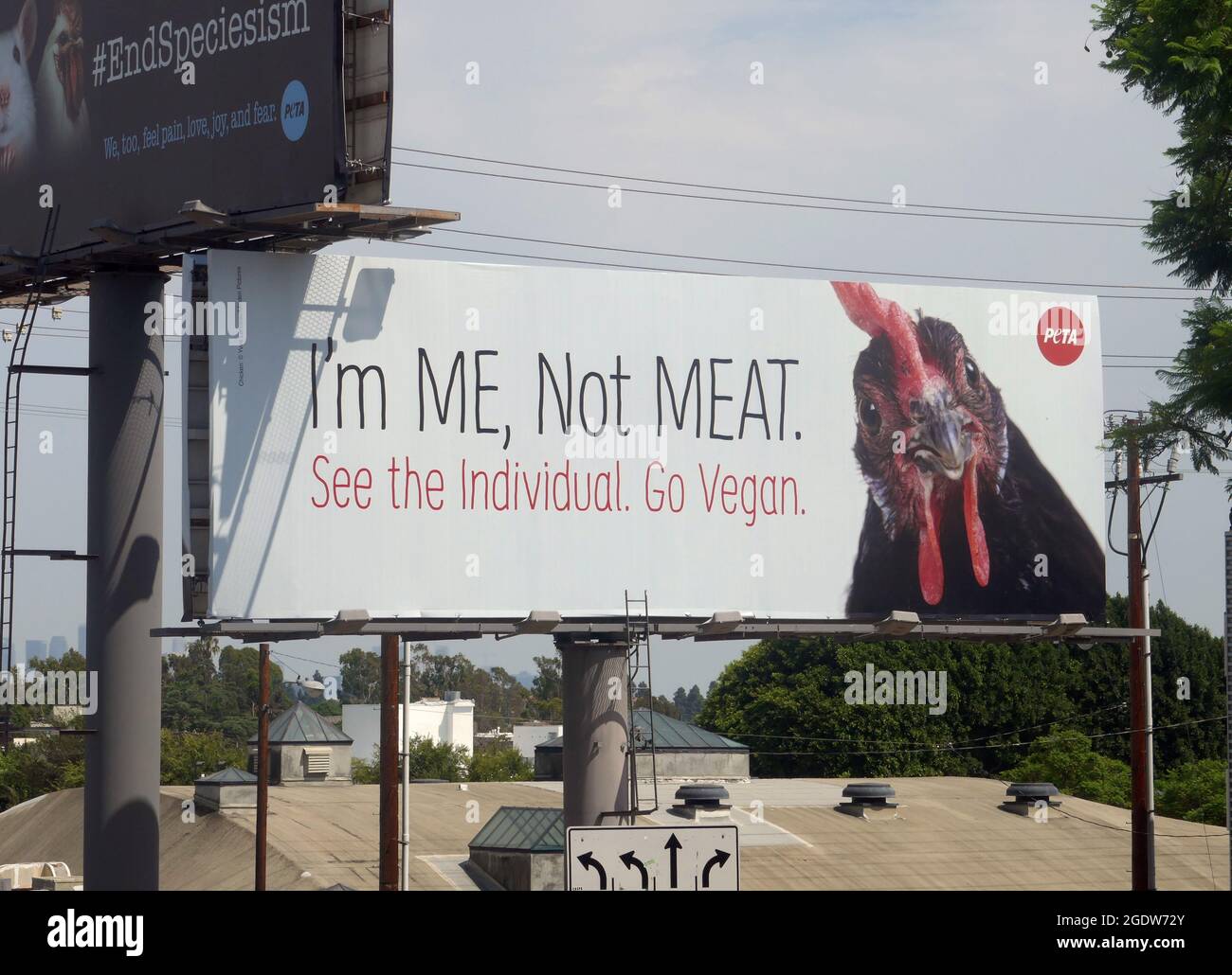 Los Angeles, California, USA 14th August 2021 A general view of ...