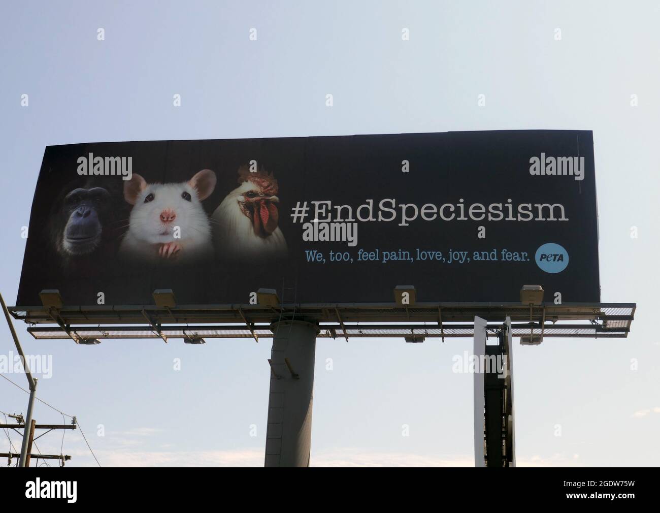 Los Angeles, California, USA 14th August 2021 A general view of ...