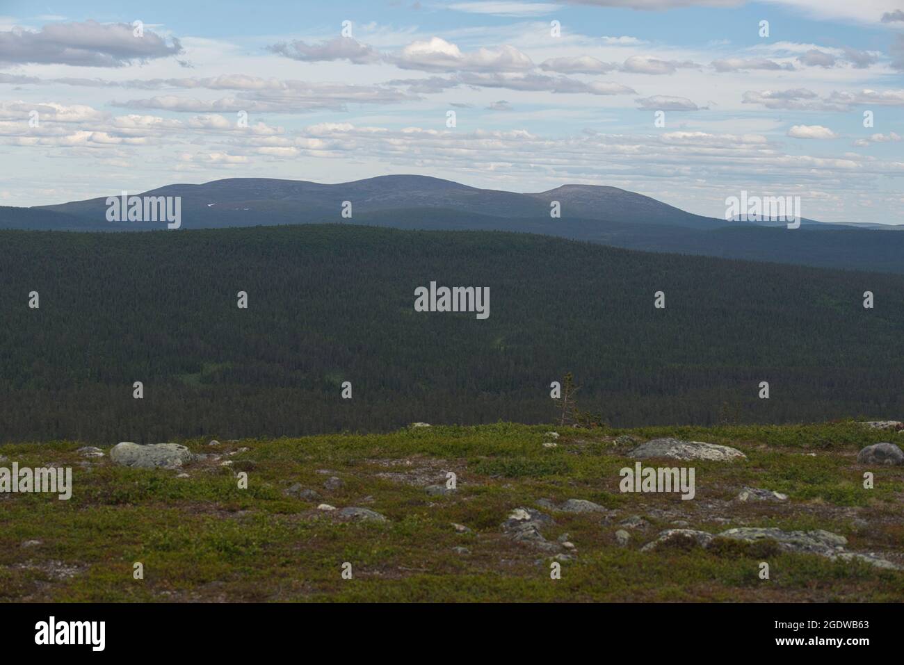 Pallastunturi fells seen from Könkösentunturi fell in Pallas ...