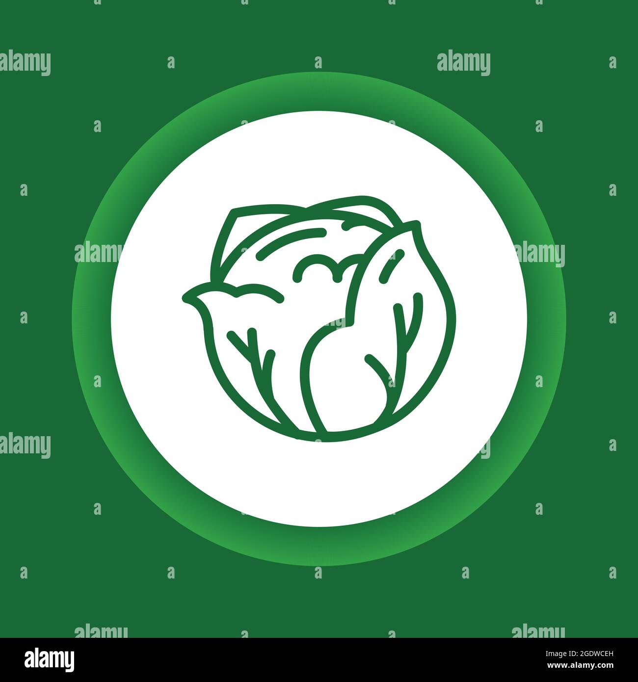 Cabbage color button icon. Healthy, organic food. Natural vegetable ...