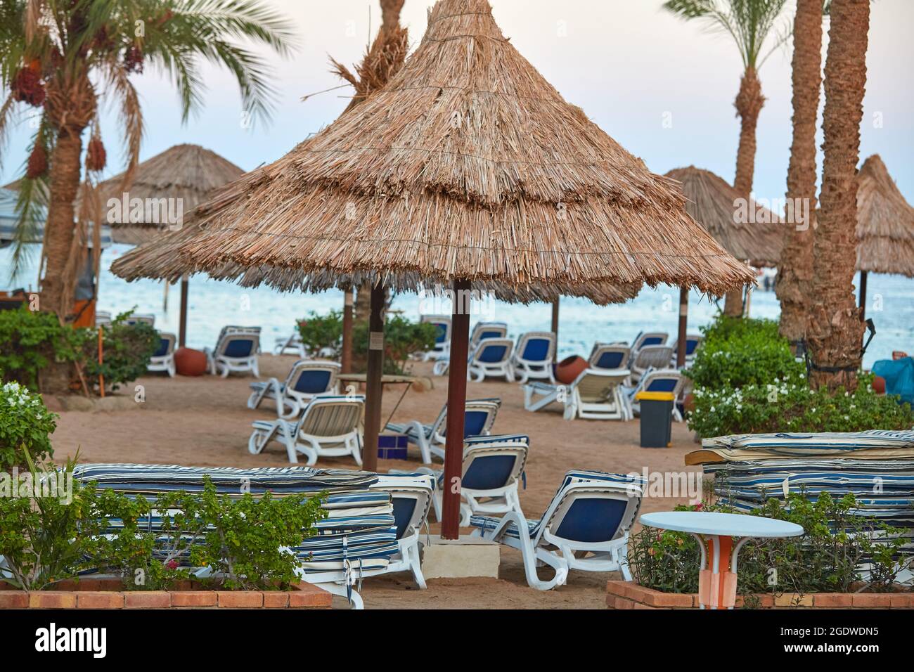 Umbrellas and sun loungers at luxury tropical resort on coral beach in ...