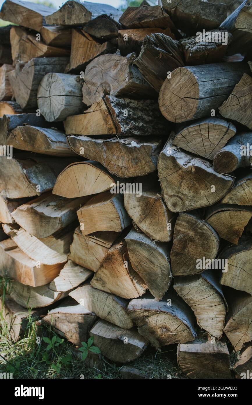 Stacked trunks hi-res stock photography and images - Alamy