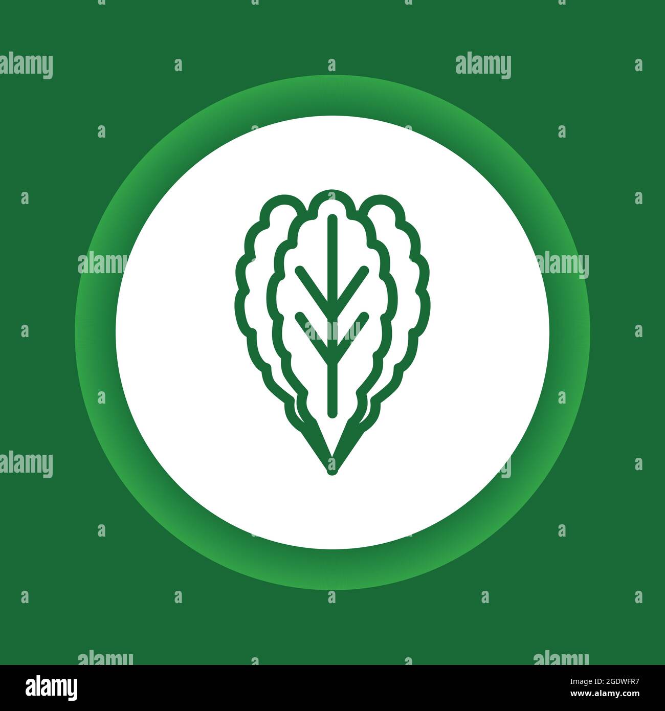 Greens color button icon. Healthy, organic food. Proper nutrition ...