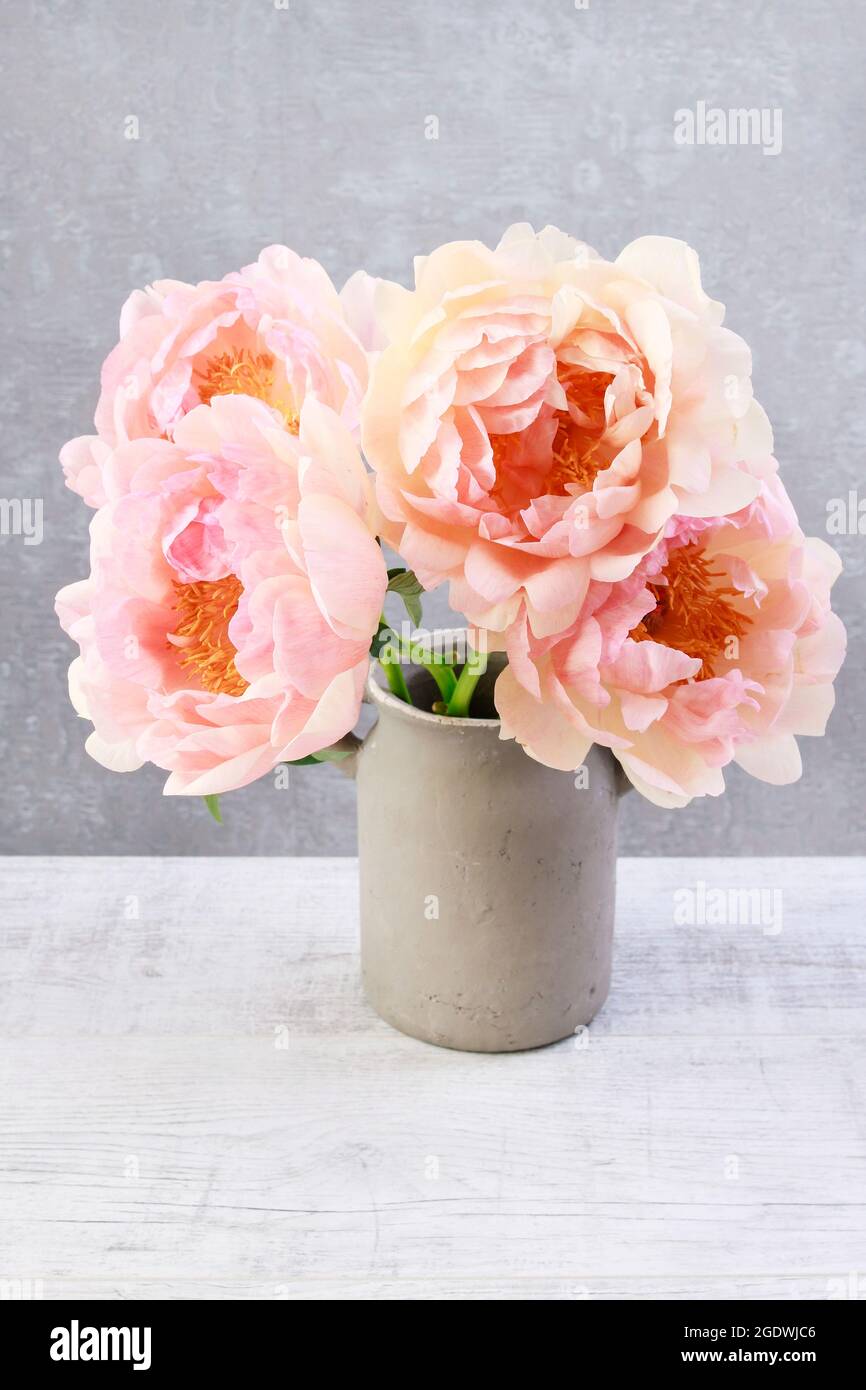 Bouquet of pink peonies on grey stone background, copy space Stock ...