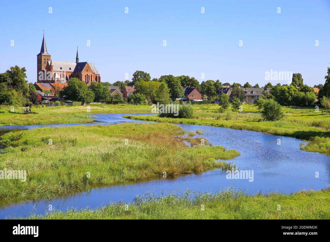 View over green wetland water on cityscape of durch town with tower of ...