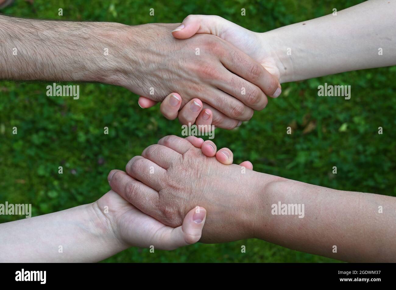 Shaking hands in front of a green meadow background Stock Photo - Alamy