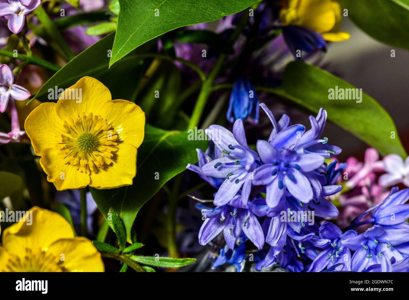 mixed bouquets of spring flowers, lilac, duckling and other spring ...