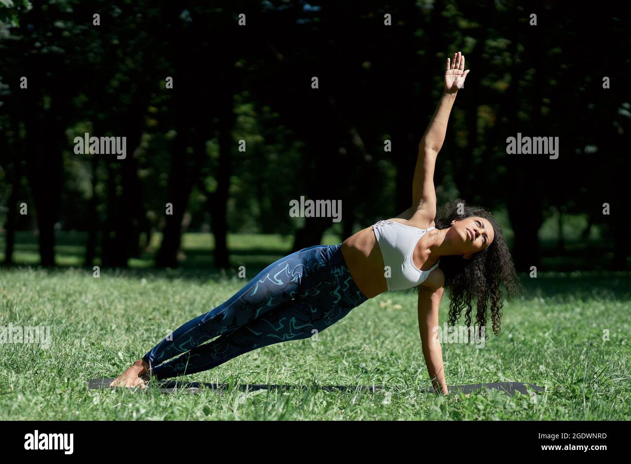 athletic young woman performing a plank standing on her arm Stock Photo ...