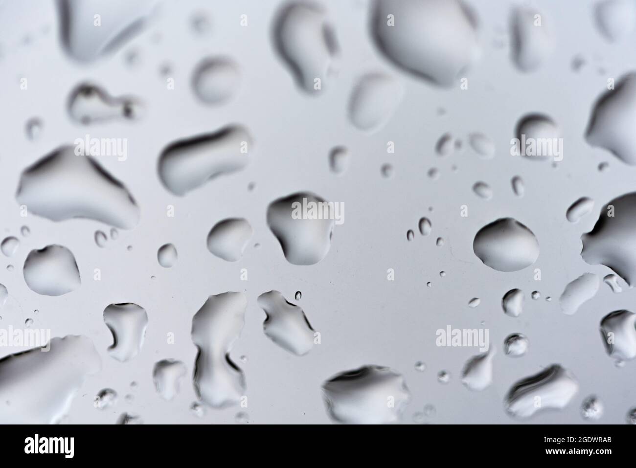 Water drops on the glass. The transparent surface of the glass is ...