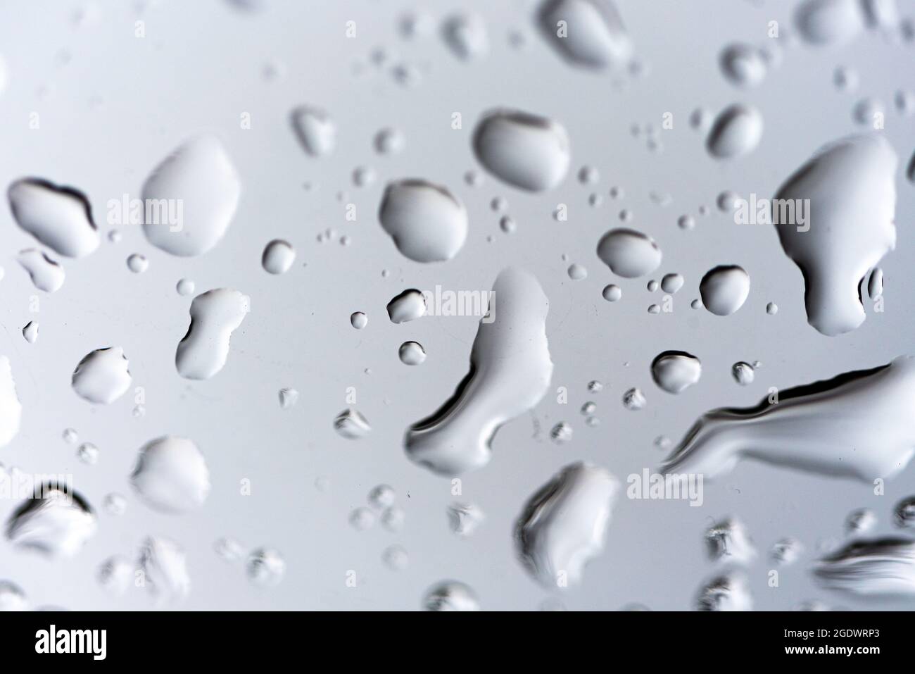 Water drops on the glass. The transparent surface of the glass is ...