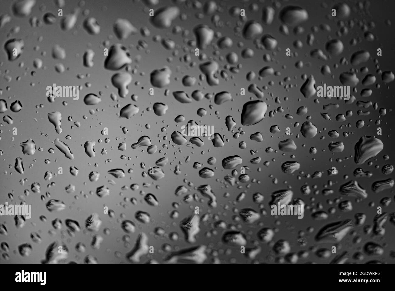 Water drops on the glass. The transparent surface of the glass is ...