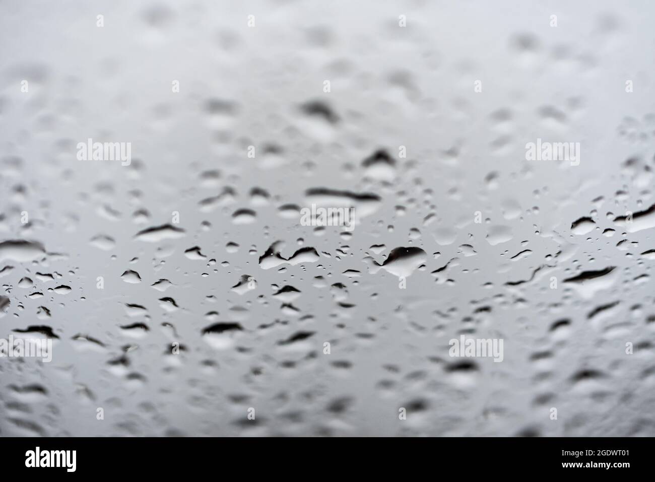 Water drops on the glass. The transparent surface of the glass is ...