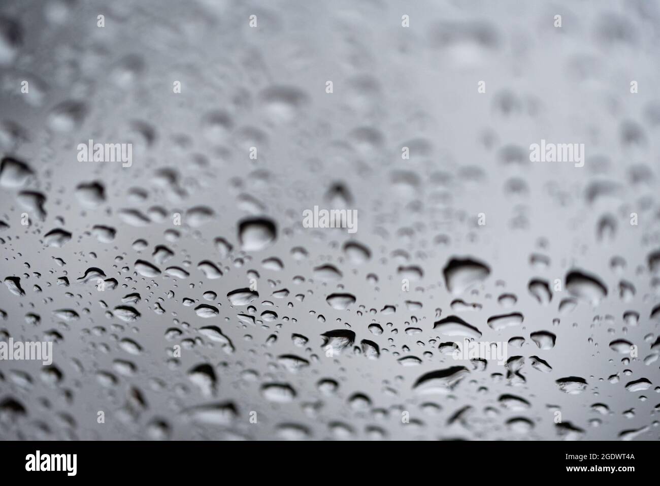 Water drops on the glass. The transparent surface of the glass is ...