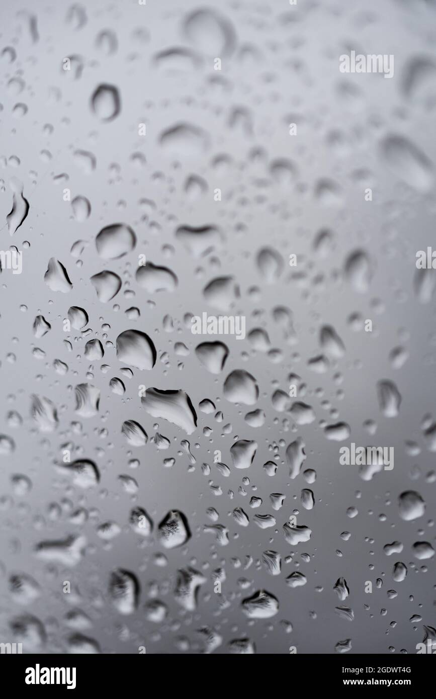 Water drops on the glass. The transparent surface of the glass is ...