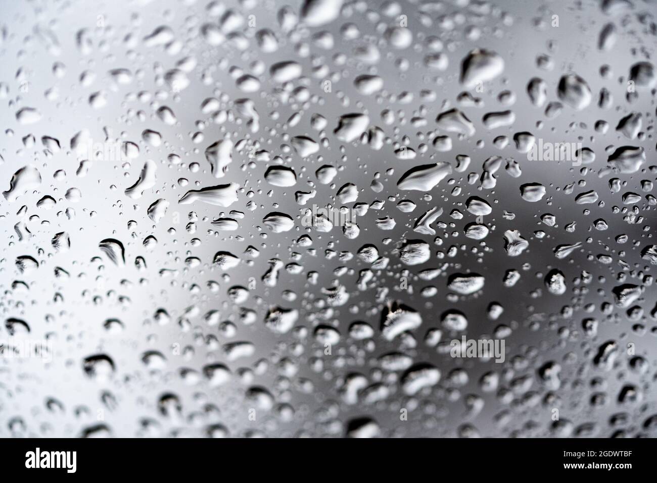 Water drops on the glass. The transparent surface of the glass is ...