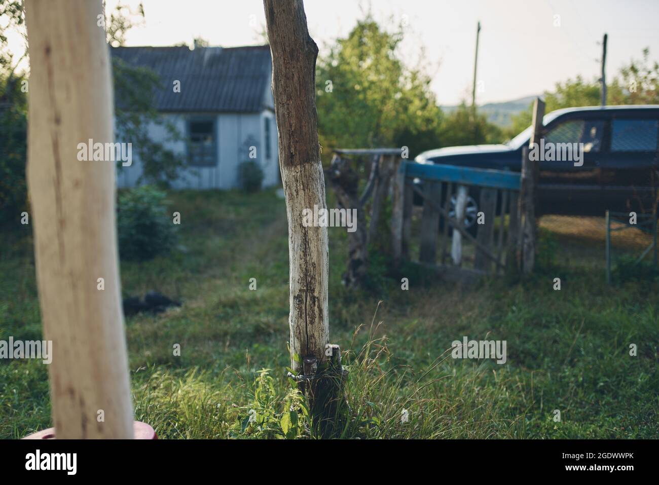 nature countryside docha fresh air Stock Photo - Alamy