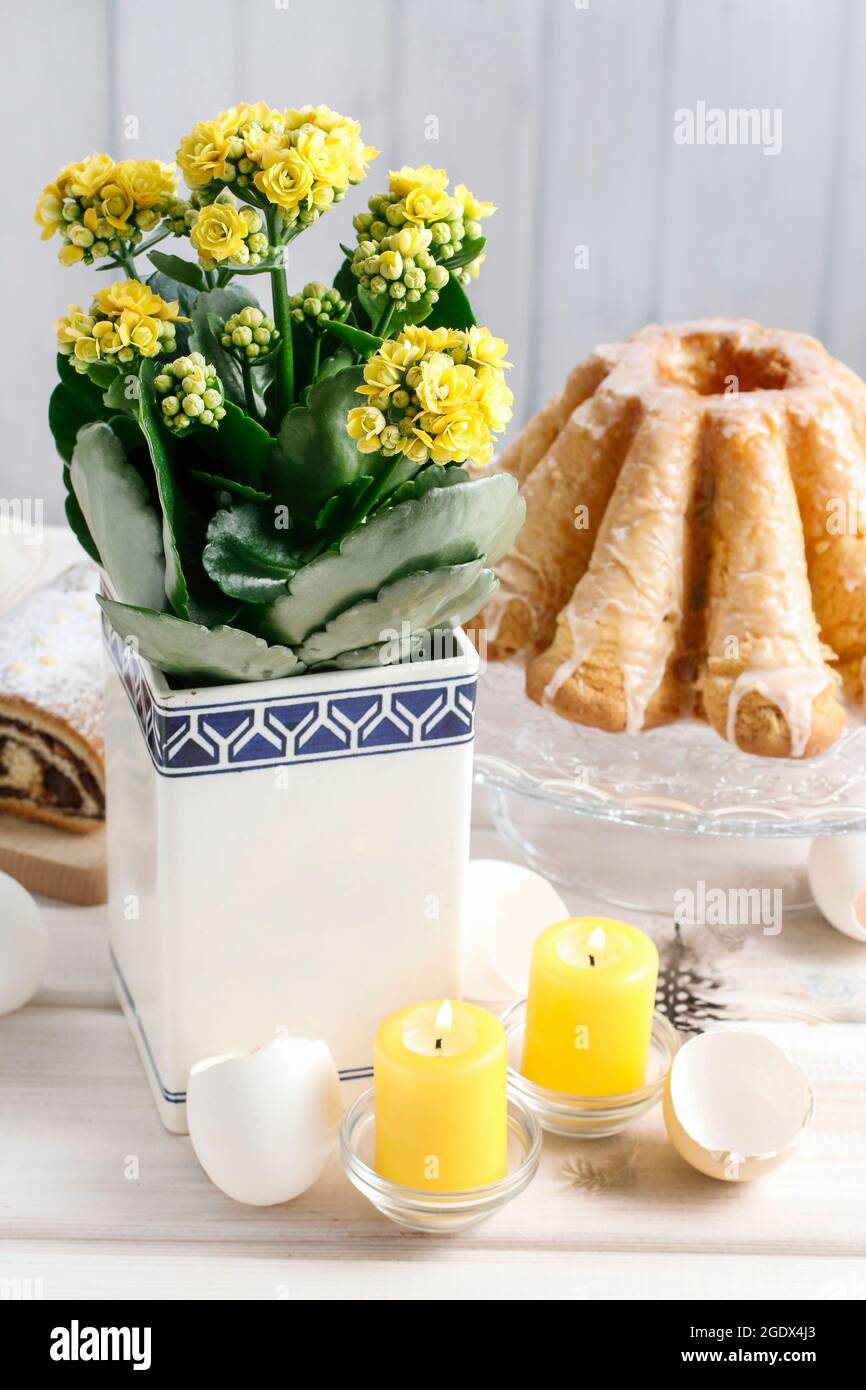 Table easter decor houseplant hi-res stock photography and images - Alamy