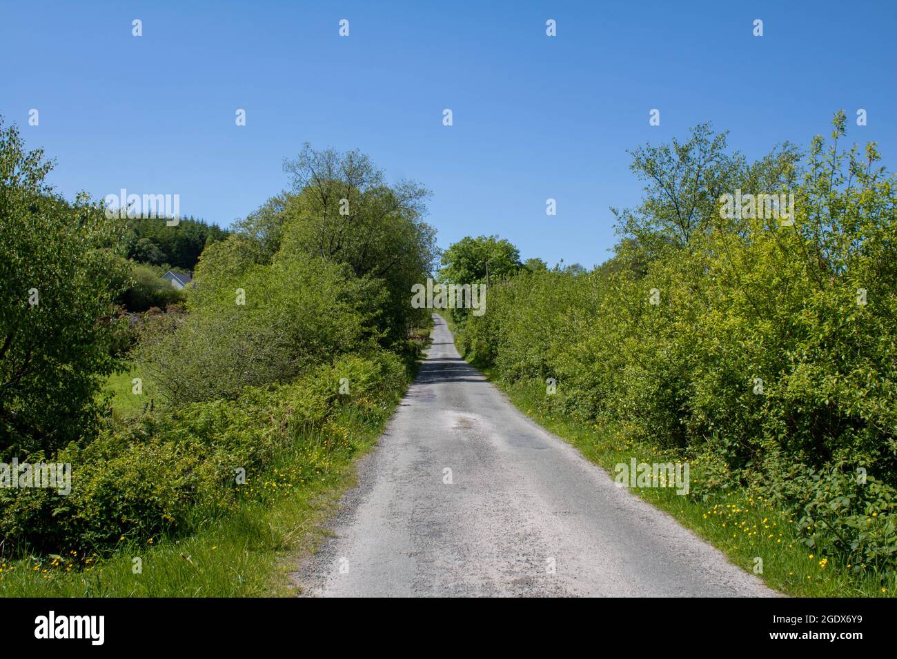 Peaceful route hi-res stock photography and images - Alamy