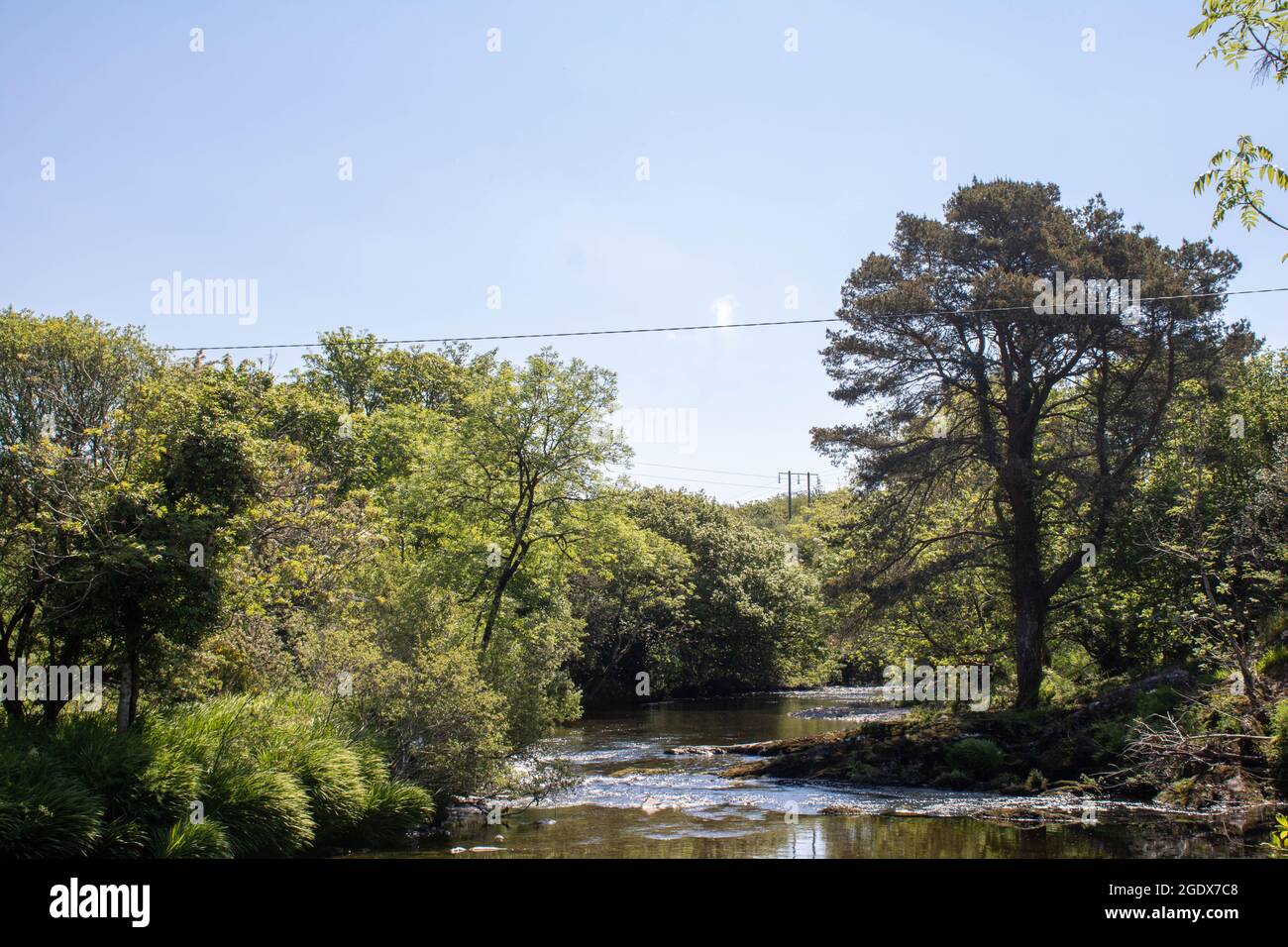 A gently flowing stream on a spring afternoon, with sunshine and trees ...