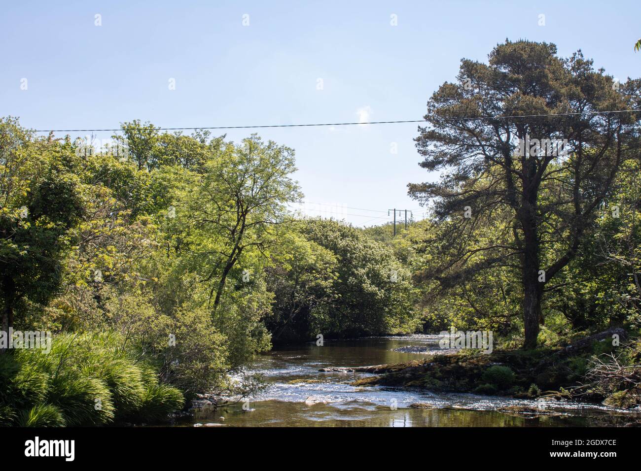 A gently flowing stream on a spring afternoon, with sunshine and trees ...