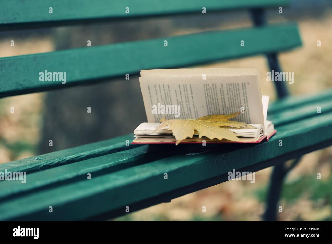 Open book with leaf on it lying on the bench in autumn park Stock Photo ...