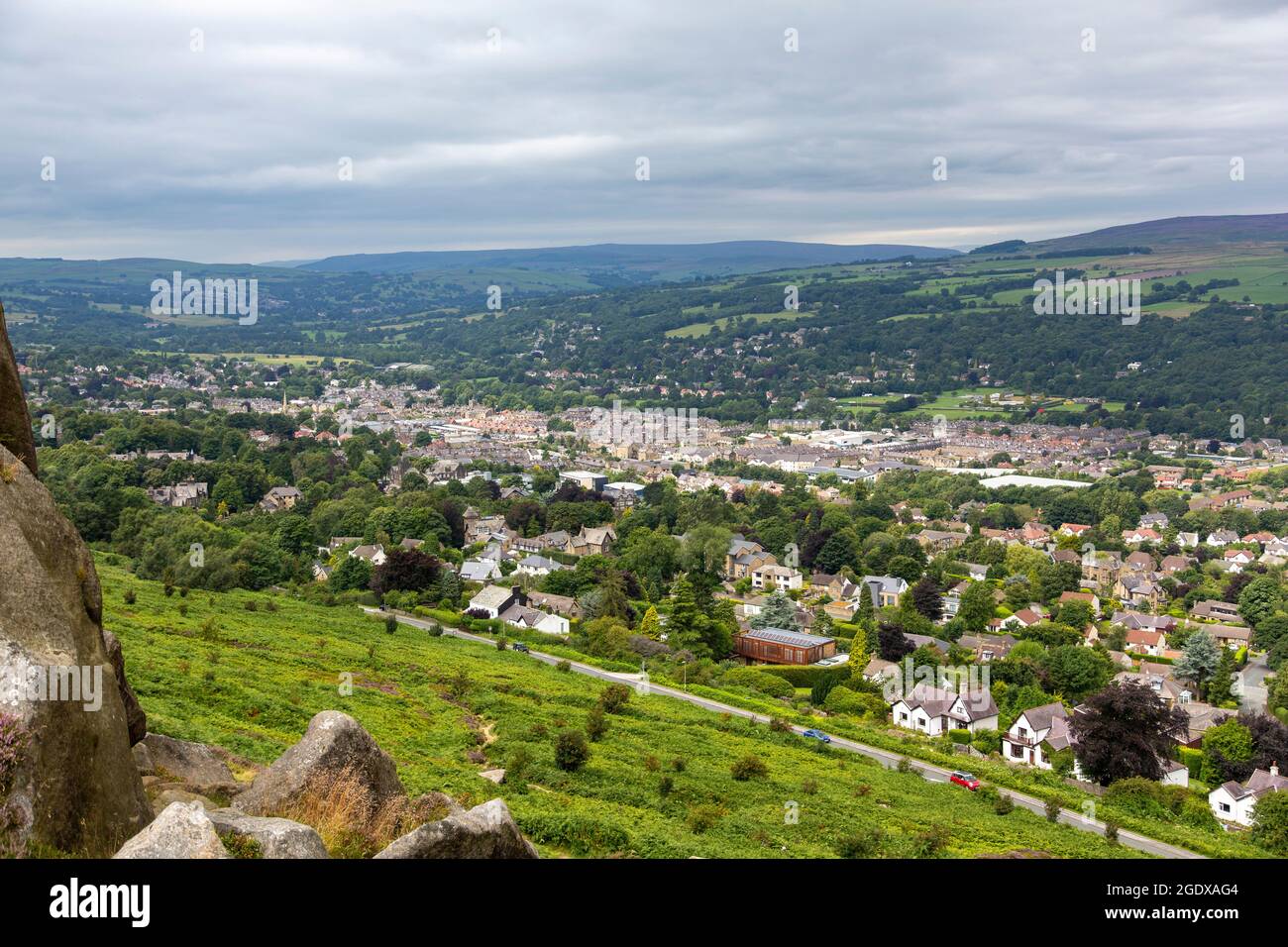 Ilkley moors cow and calf hi-res stock photography and images - Alamy