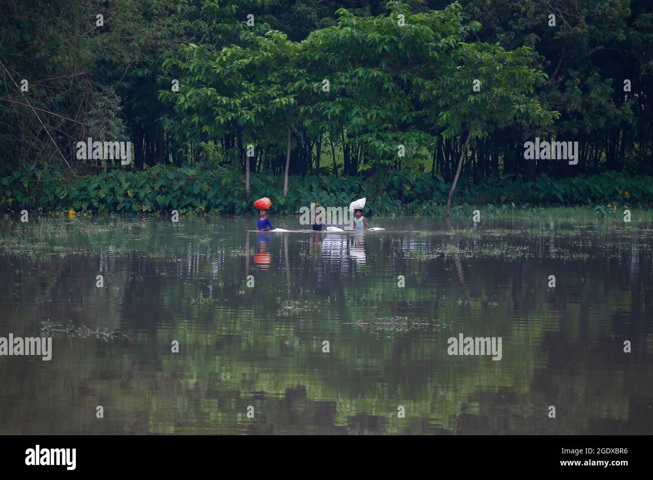 Saptari, Nepal. 15th Aug, 2021. Girls wade through a flooded paddy ...