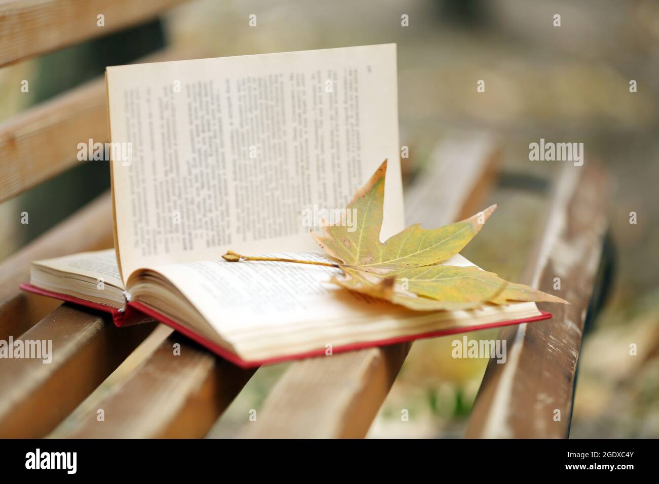 Open book with leaf lying on brown bench in autumn park Stock Photo - Alamy