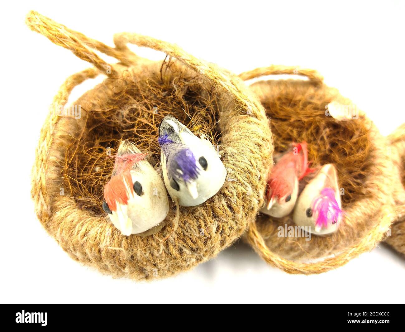 Bird nests texture hi-res stock photography and images - Alamy