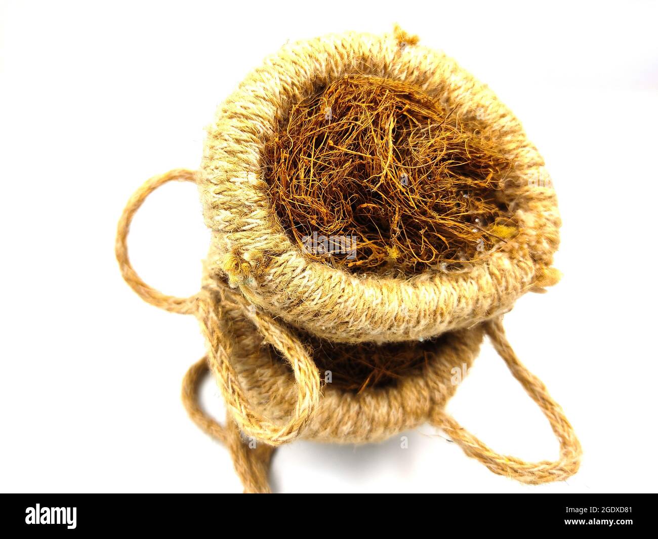 Khus khus grass hi-res stock photography and images - Alamy