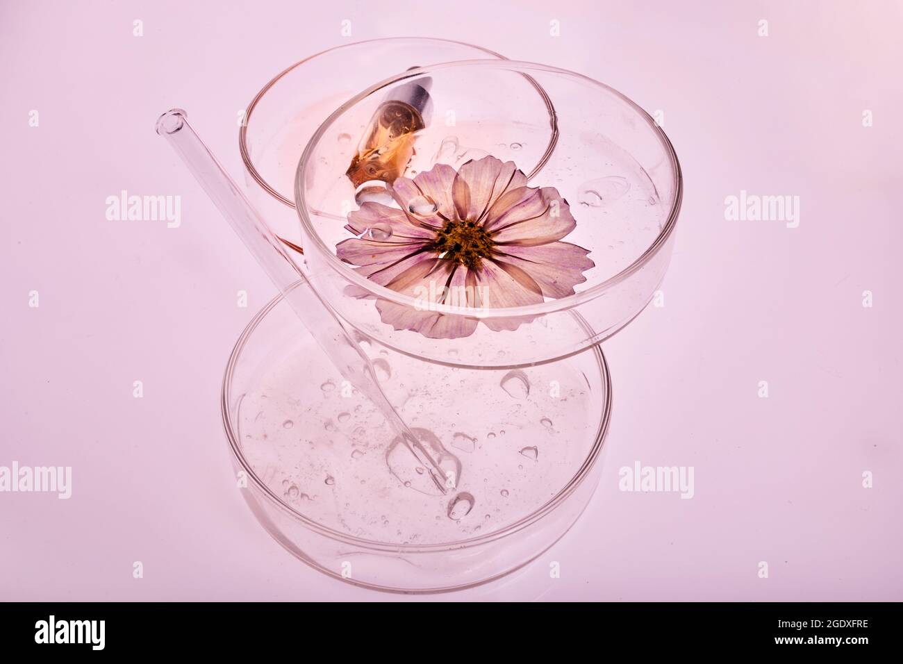 Abstract cosmetic laboratory. Chemical laboratory research. Nature ...