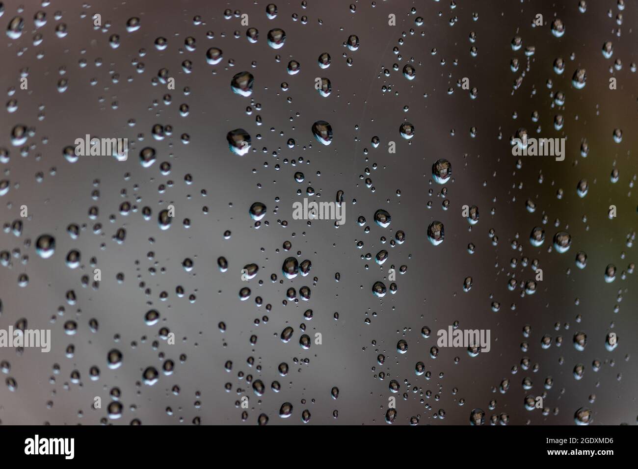Rain drops in sharp focus on a window Stock Photo - Alamy