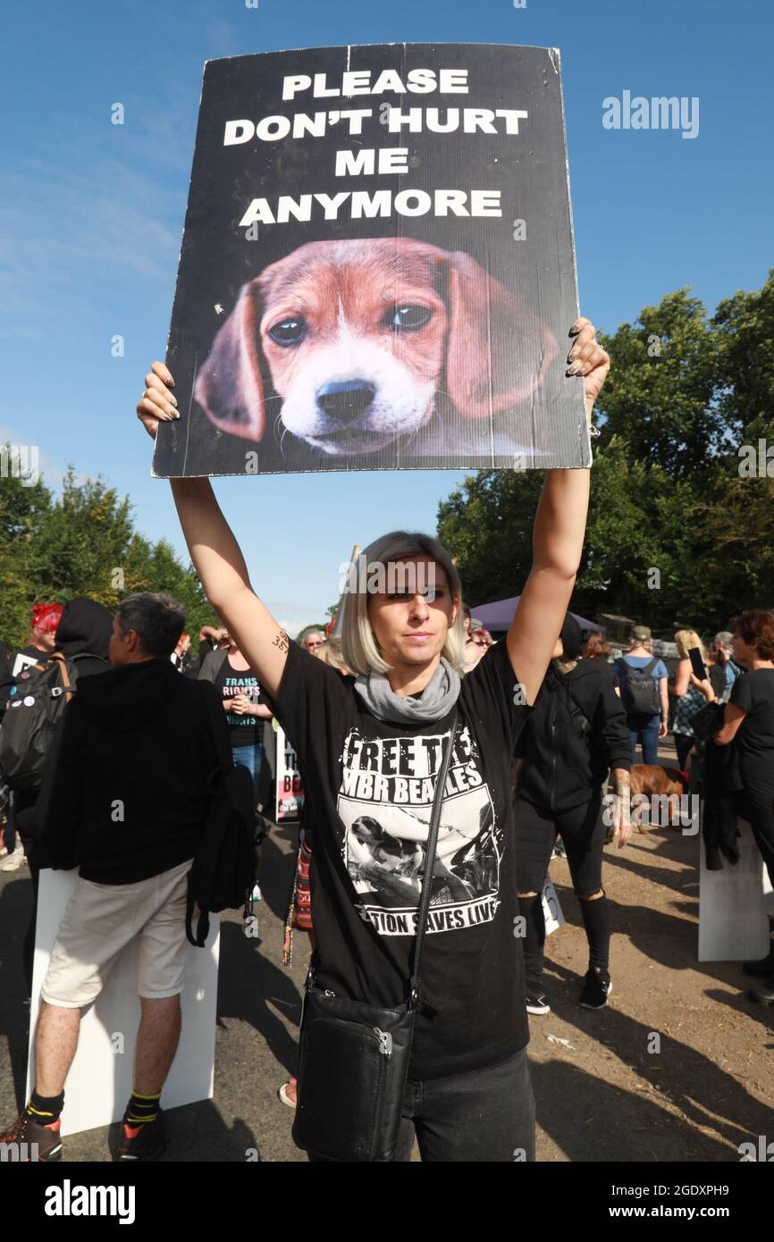 Huntingdon animal testing protest hi-res stock photography and images ...