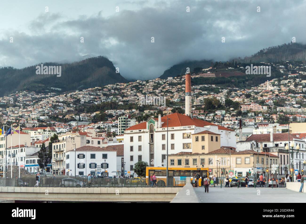 Funchal on madeira island hi-res stock photography and images - Alamy