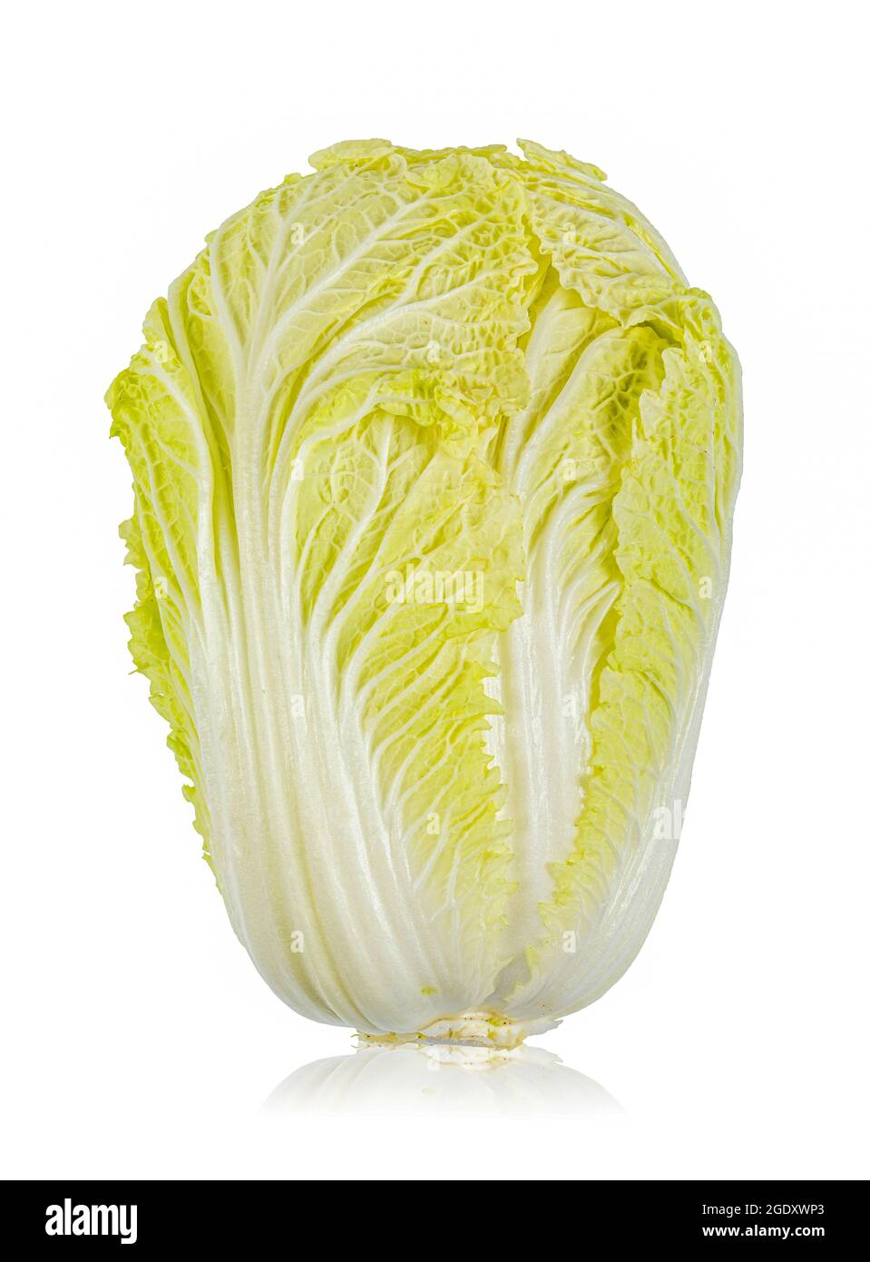 Fresh whole chinese cabbage isolated on a white background Stock Photo ...