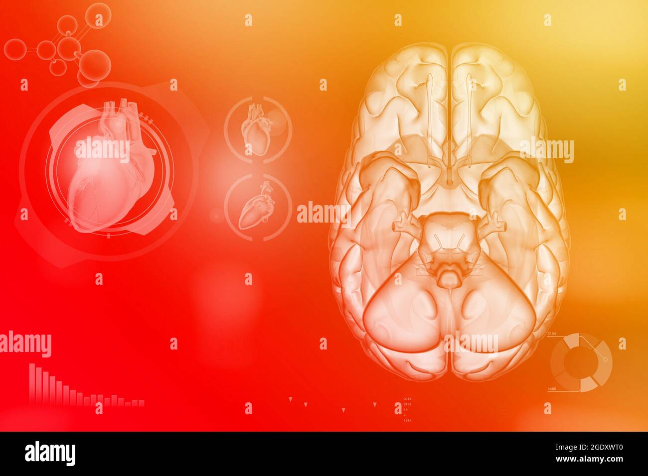 Human brain, neuron network work concept - very detailed hi-tech ...
