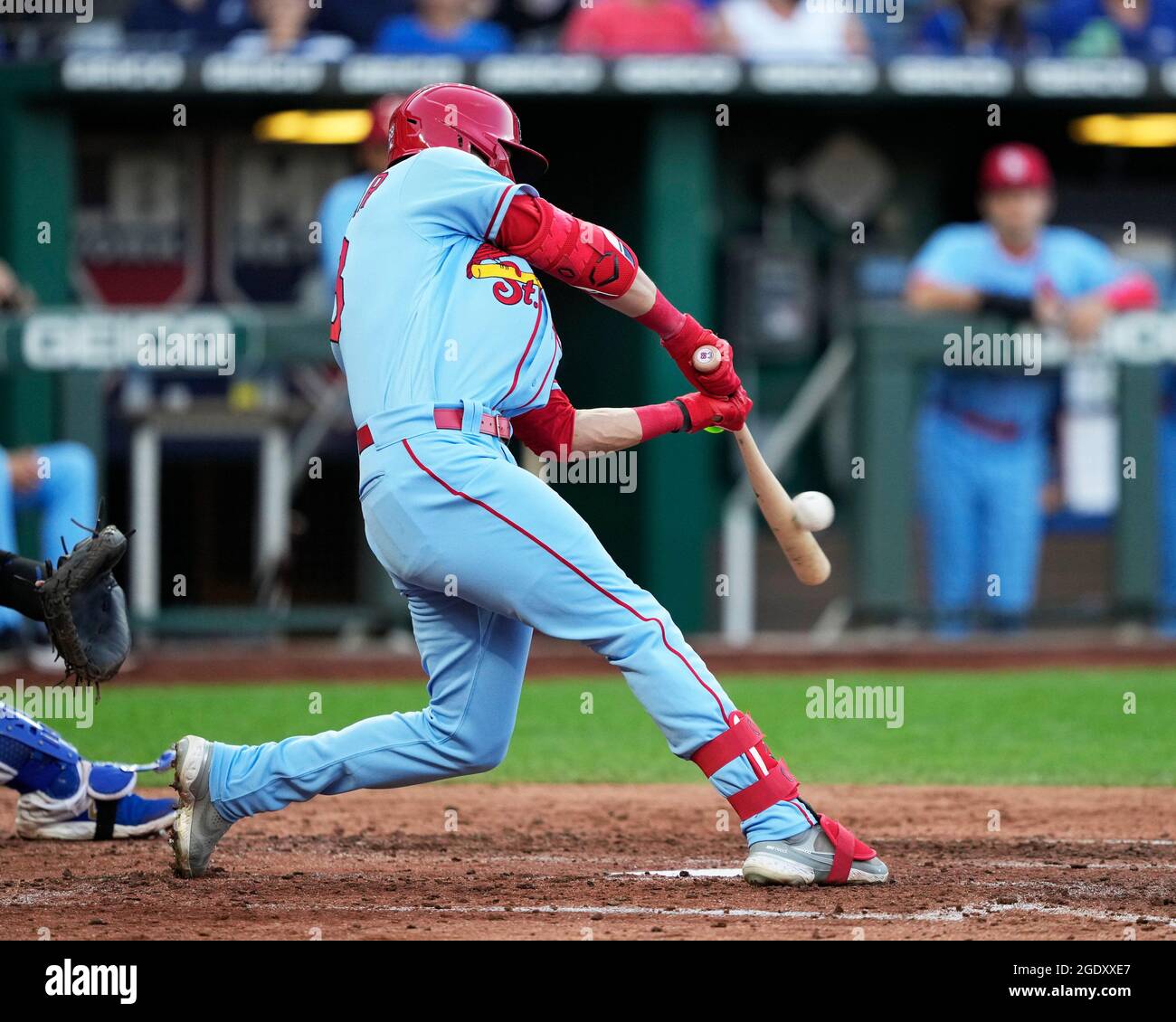 Lars nootbaar st louis cardinals hi-res stock photography and images ...