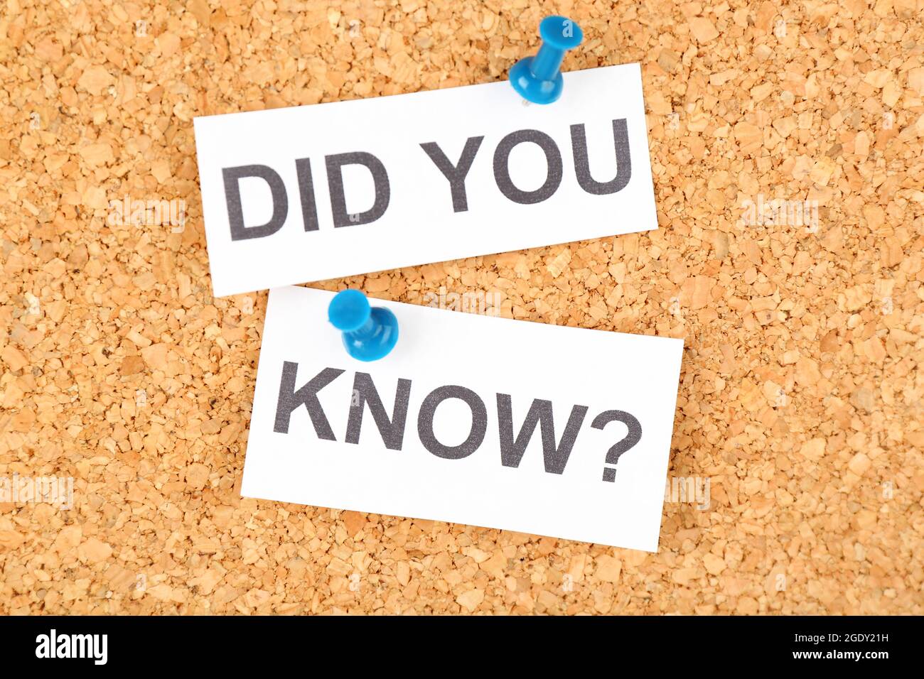 Paper sheet with question "Did you know?" on wooden background Stock ...