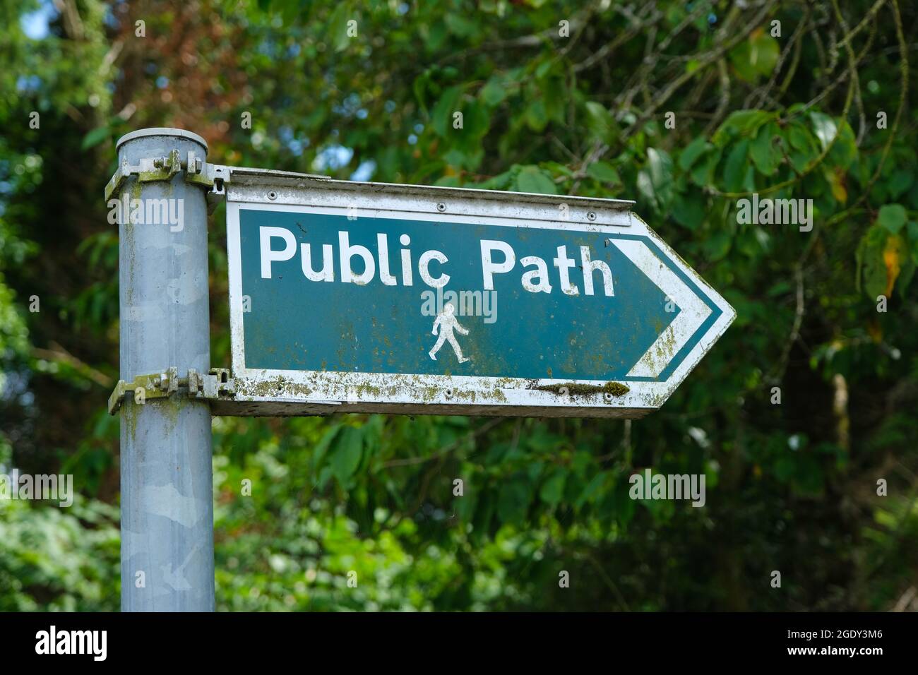 A green public walking path sign pointing to the right Stock Photo - Alamy
