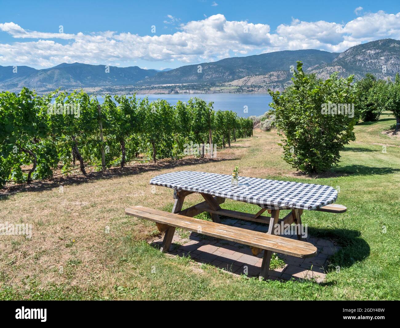 Recreation area with beautiful overview of a lake and mountains Stock ...