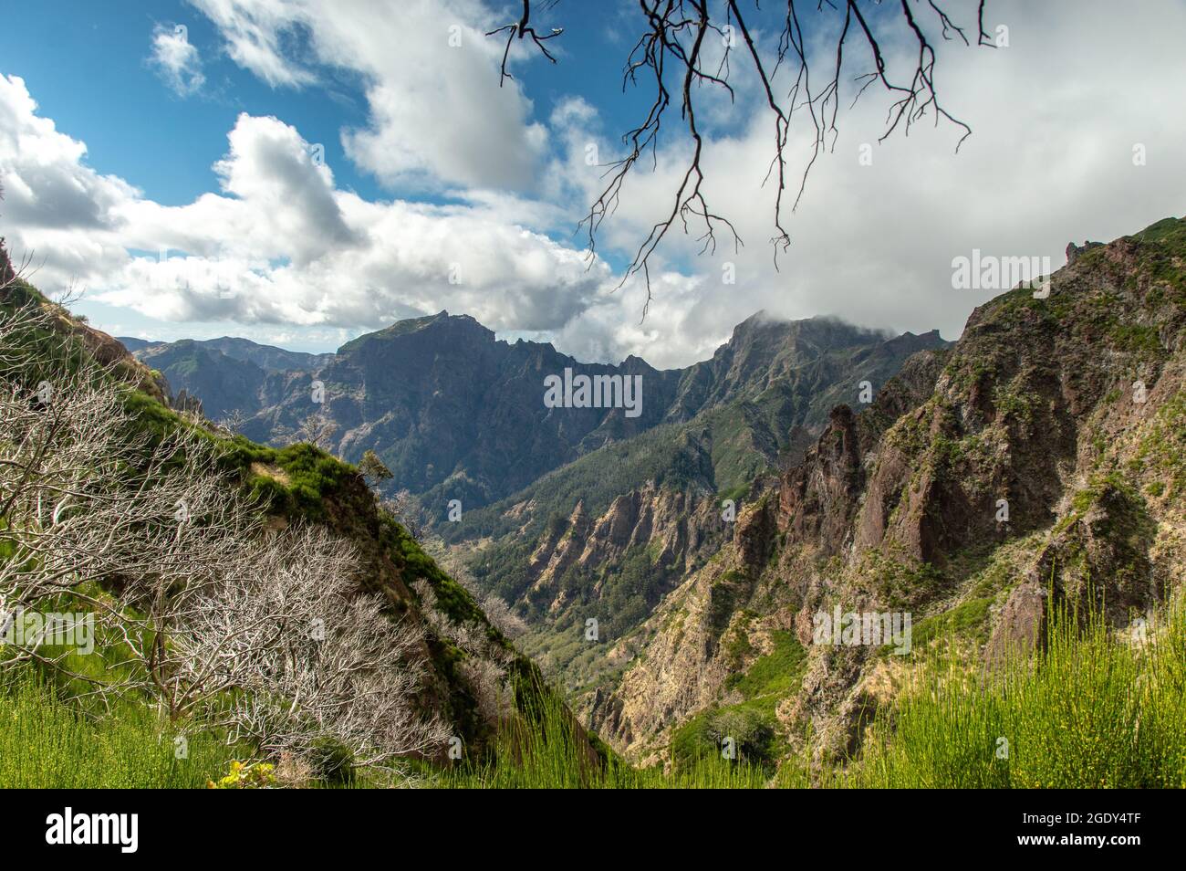 Landscape of mountains in Madera island Stock Photo - Alamy