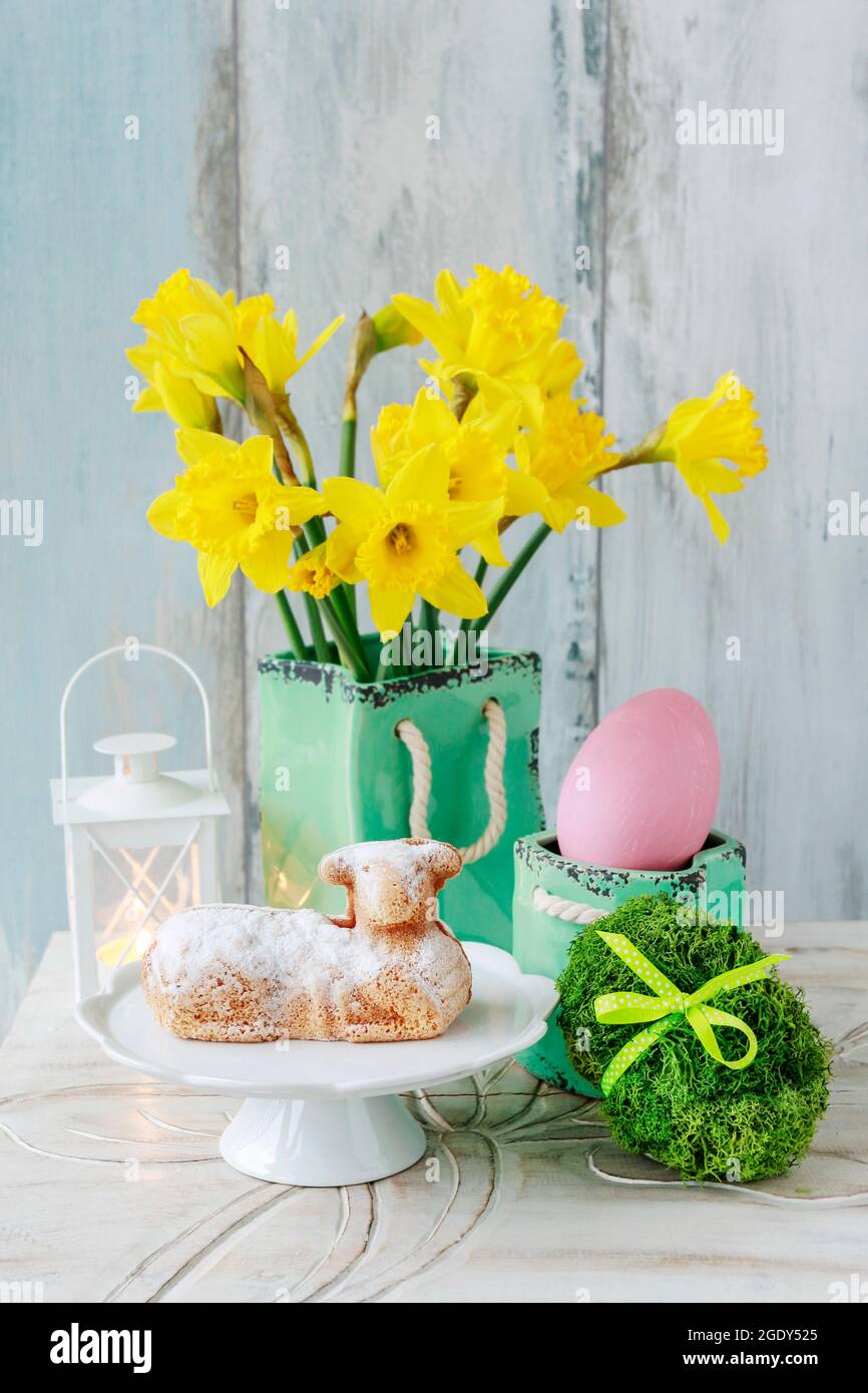 Cute lamb daffodil hi-res stock photography and images - Alamy