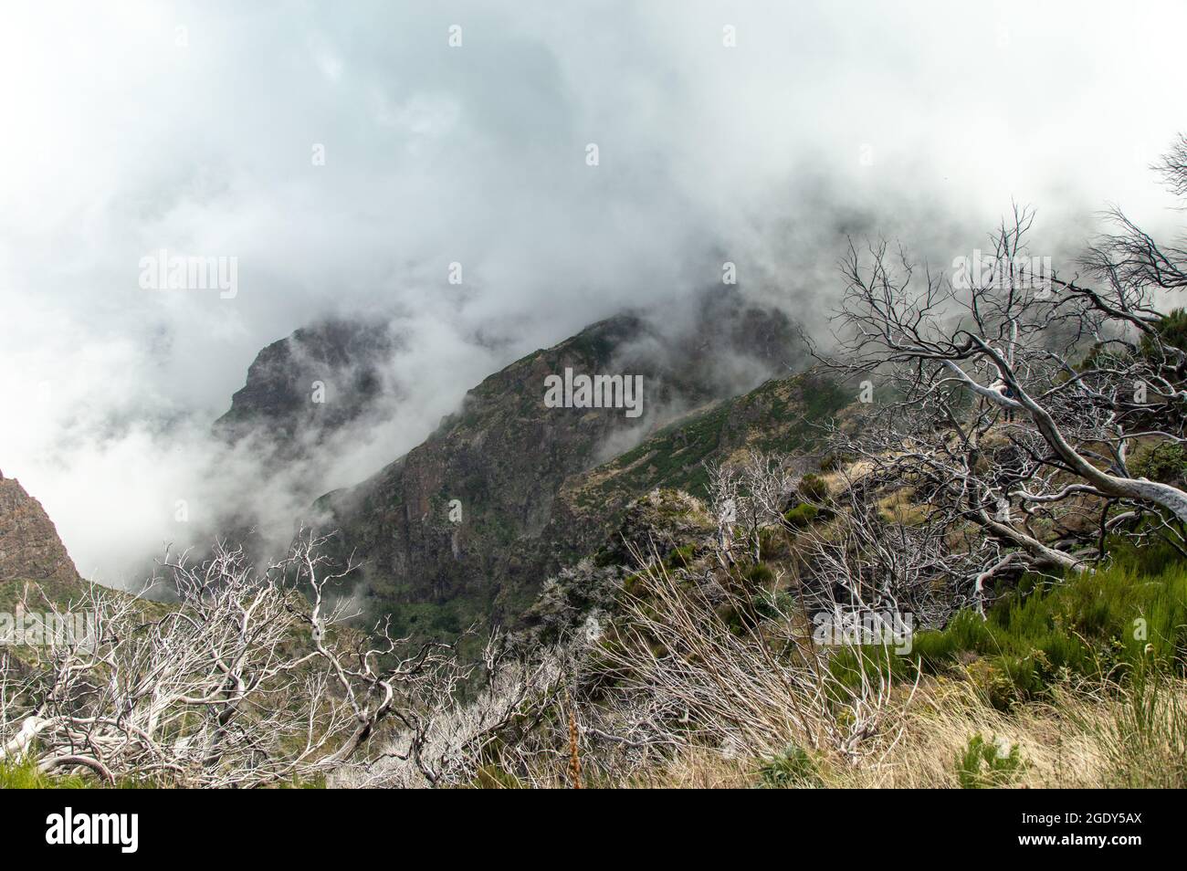 Landscape of mountains in Madera island Stock Photo - Alamy