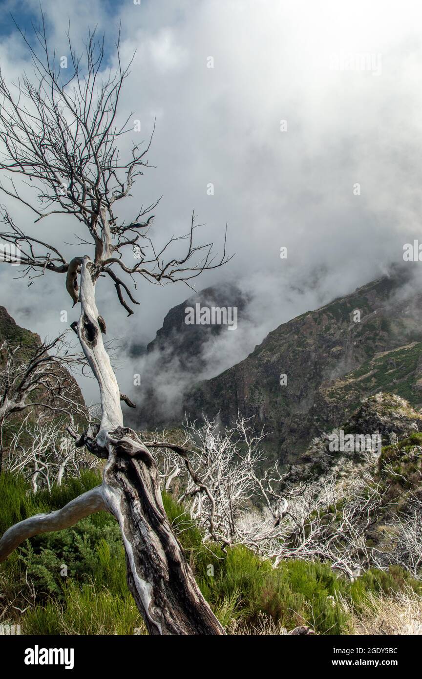 Landscape of mountains in Madera island Stock Photo - Alamy